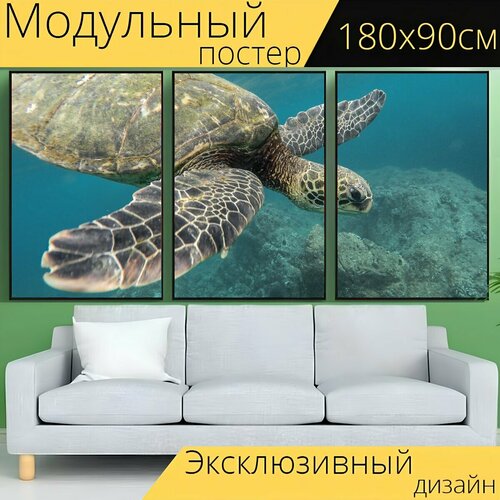 Модульный постер "Животное, черепаха, коралловый риф" 180 x 90 см. для интерьера