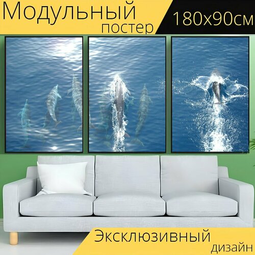 Модульный постер "Дельфин, море, океан" 180 x 90 см. для интерьера
