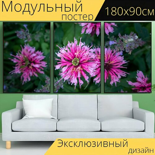 Модульный постер "Цветок, сад, цвести" 180 x 90 см. для интерьера
