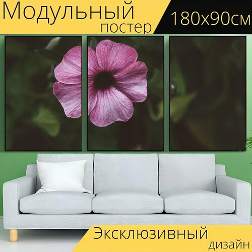 Модульный постер "Цветок, цвести, розовый" 180 x 90 см. для интерьера