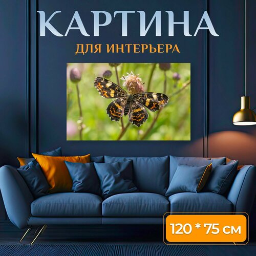 Картина на холсте "Бабочка, цвести, ствол" на подрамнике 120х75 см. для интерьера