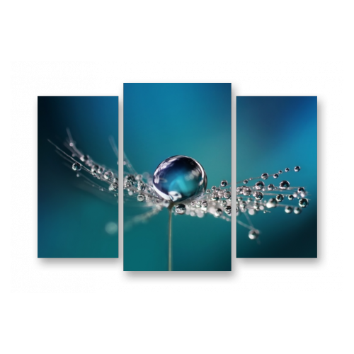 Модульная картина на стекле | Diva Kartina | Природа. Капля воды на цветке | 100X70 см