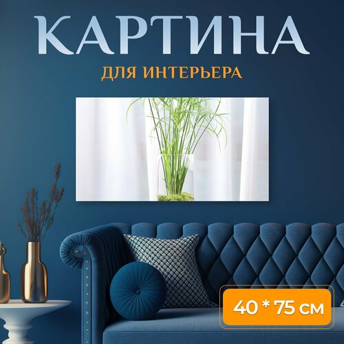 Картина на холсте "Папирус, гидропоники растения, террариум" на подрамнике 75х40 см. для интерьера