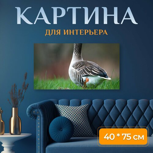 Картина на холсте "Утка, птица, трава" на подрамнике 75х40 см. для интерьера