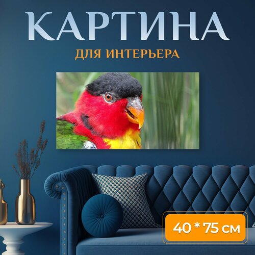 Картина на холсте "Животное, птица, птицы" на подрамнике 75х40 см. для интерьера