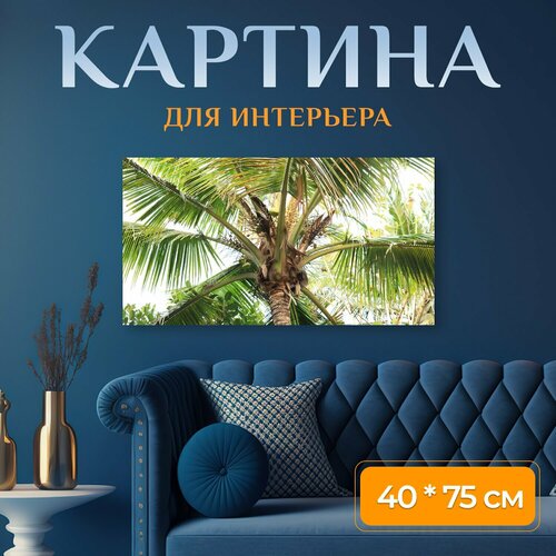 Картина на холсте "Керала, пальма, кокосовое дерево" на подрамнике 75х40 см. для интерьера