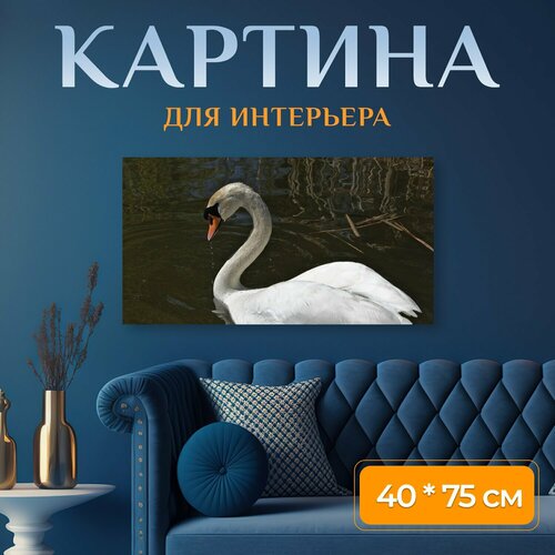 Картина на холсте "Лебедь, портрет животных, капля воды" на подрамнике 75х40 см. для интерьера
