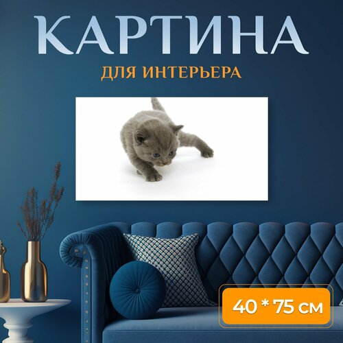 Картина на холсте "Мило, котенок, охота" на подрамнике 75х40 см. для интерьера