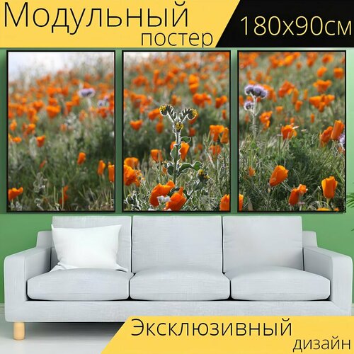 Модульный постер "Цветы, маки, апельсин" 180 x 90 см. для интерьера