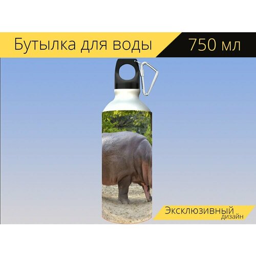 Бутылка фляга для воды "Бегемот, зоопарк, млекопитающее" 750 мл. с карабином и принтом