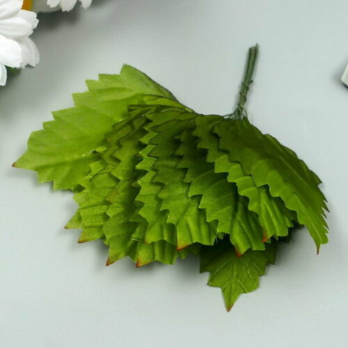 Декор для творчества "Берёзовый лист" 1 букет=12 листиков зелёный 10х8х6 см, 12 шт.