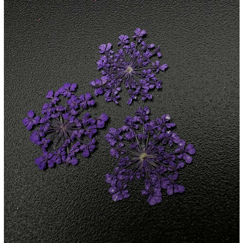 Сухоцветы Любимые цветочки Zoo Nail Art 1683