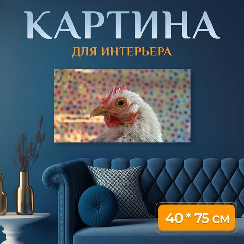 Картина на холсте "Курица, заманил, домашняя птица" на подрамнике 75х40 см. для интерьера