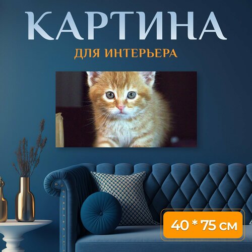 Картина на холсте "Котенок, кошка, животное" на подрамнике 75х40 см. для интерьера