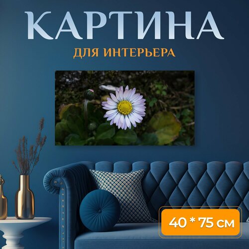 Картина на холсте "Природа, флора, цветок" на подрамнике 75х40 см. для интерьера