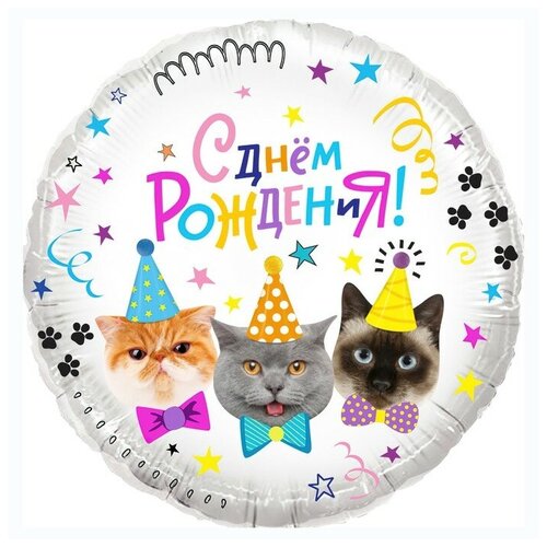 Шар фольгированный 18" «С днём рождения! Котики», круг, в упаковке