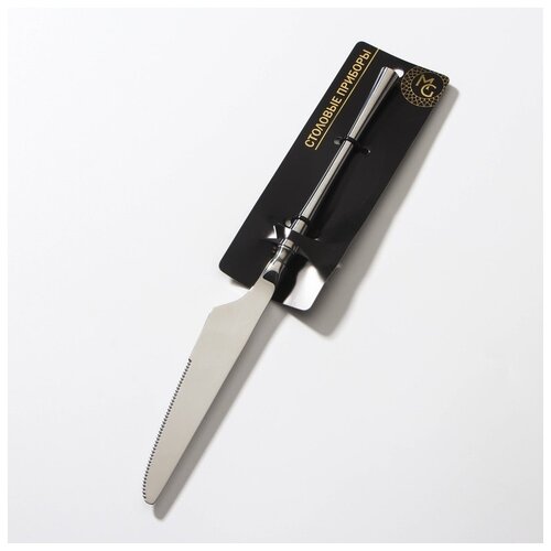 Magistro Нож столовый Фьюжн серебристый 1 23.5 см