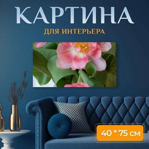 Картина на холсте "Цветы, букет, тюльпаны" на подрамнике 75х40 см. для интерьера