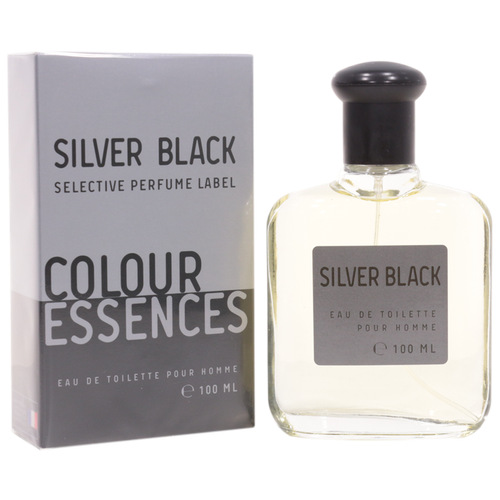 Today Parfum туалетная вода Colour Essences Silver Black, 100 мл, 270 г