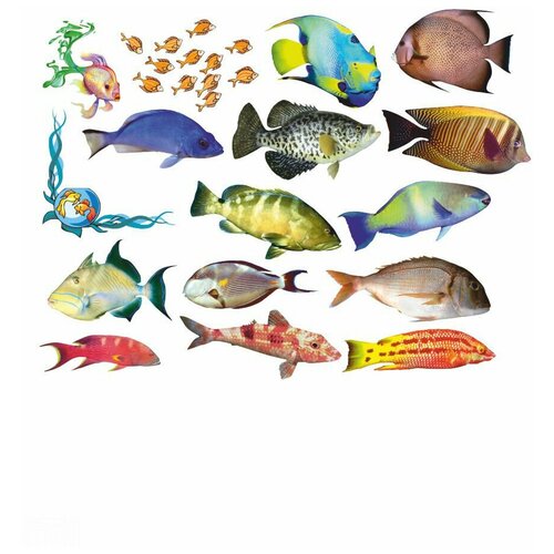 Наклейка легкосъемная интерьерная "Океанические рыбки"