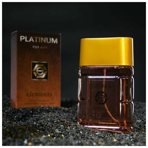 TODAY PARFUM Туалетная вода мужская Platinum Elements, 100 мл