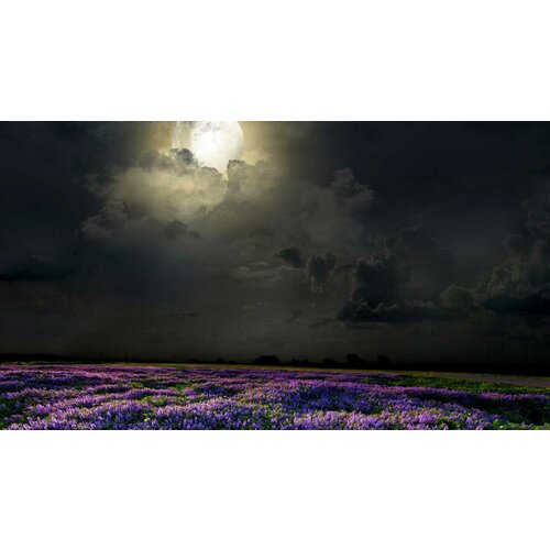 Картина на холсте 60x110 Альянс Лес "Луна лаванда цветы ночь поле" на подрамнике / интерьер/ декор