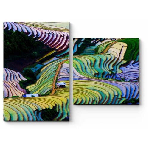 Модульная картина Рисовые поля, Вьетнам 120x90