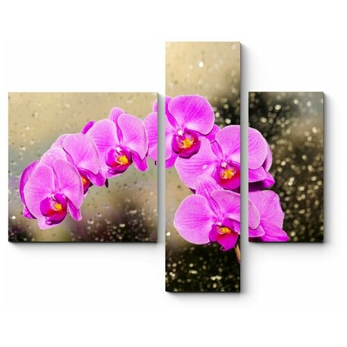 Модульная картина Роскошная орхидея 80x66