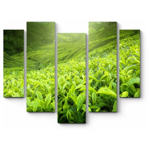 Модульная картина Бескрайняя зелень полей 151x123