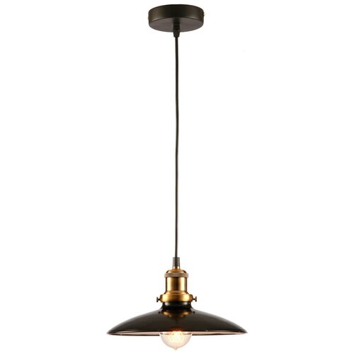 Потолочный светильник Lussole GRLSP-9604, E27, 10 Вт, кол-во ламп: 1 шт., цвет: черный