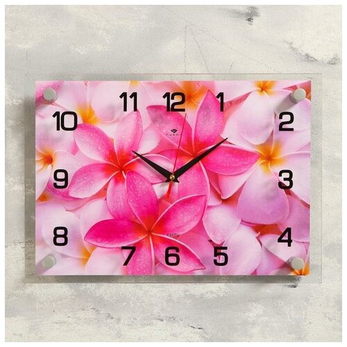 Часы настенные, серия: Цветы, "Цветы", 25х35 см