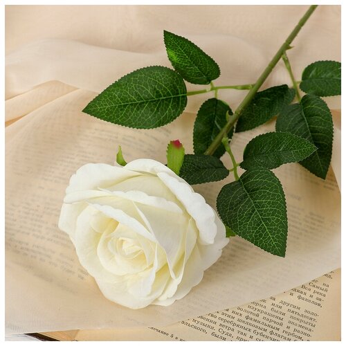 Цветы искусственные "Роза боливийская" 7,5х55 см, белый