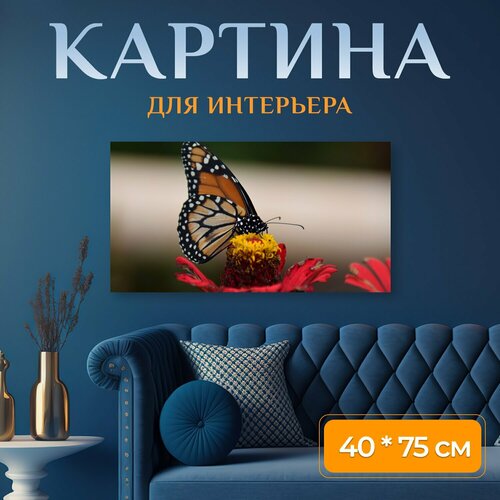 Картина на холсте "Бабочка, цветок, макрос" на подрамнике 75х40 см. для интерьера