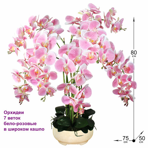 Искусственные Орхидеи 7 веток бело-розовые 80 см в широком кашпо от ФитоПарк