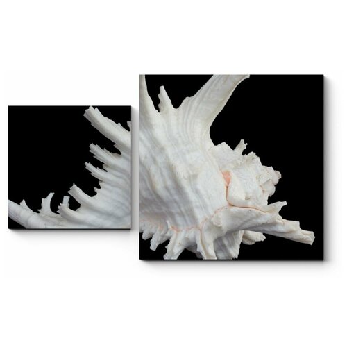 Модульная картина Морская раковина60x36