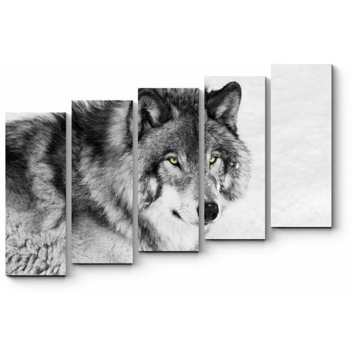 Модульная картина Черно-белый портрет волка 100x70