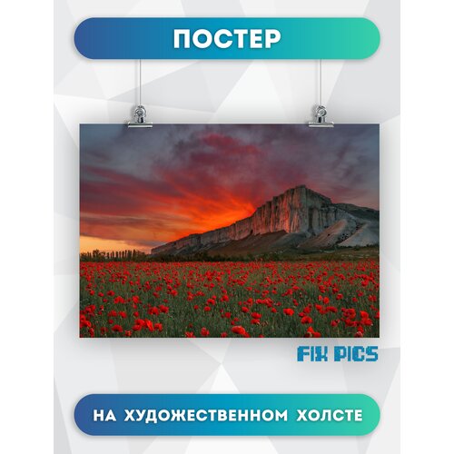 Постер интерьерный на стену для дома в офис, постеры для интерьера на холсте Маковое поле Крым, маки цветы 40х60 см