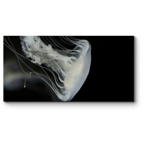 Модульная картина Белая медуза40x20