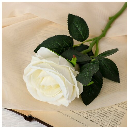 Цветы искусственные "Роза венесуэльская" 8х23 см, белый