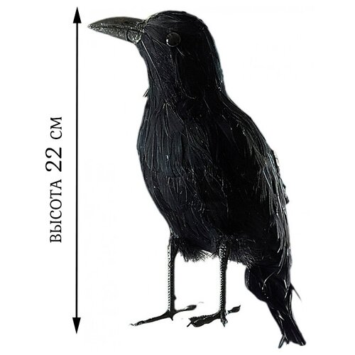 Чучело "Ворона" 11,5 х 27 см (Цв: Черный )