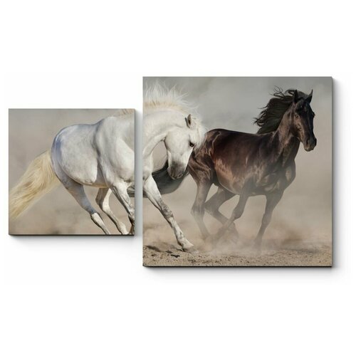 Модульная картина Красивая пара лошадей50x30