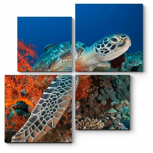Модульная картина Морская черепаха в кораллах150x150