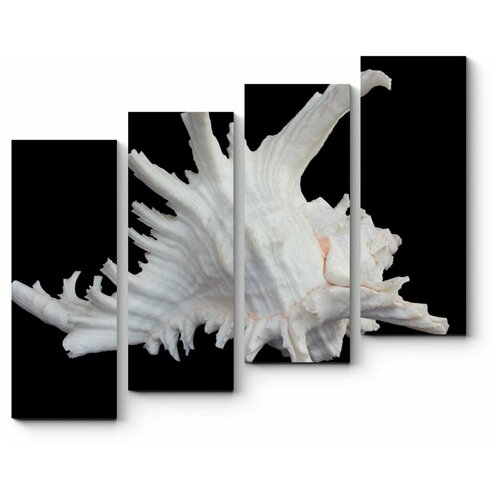 Модульная картина Морская раковина120x104