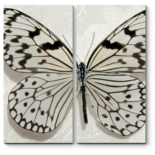 Модульная картина Черно-белая бабочка 80x80