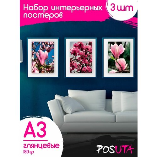 Постеры цветы Магнолии постеры Интерьерные