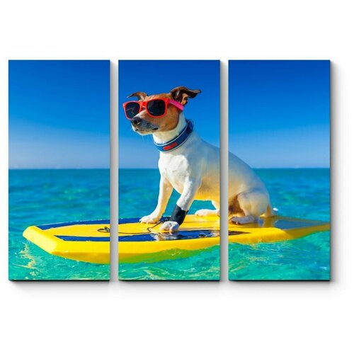 Модульная картина Собака - серфингист в модных очках 70x50