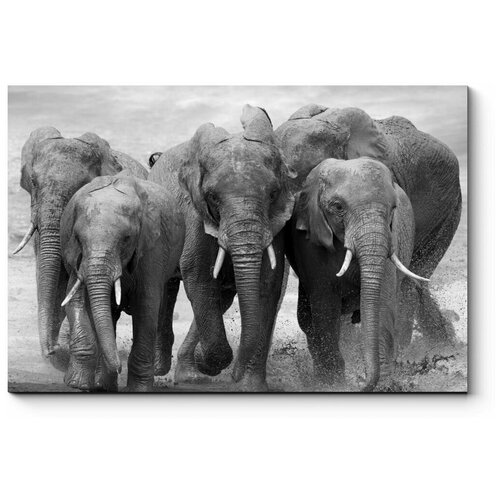 Модульная картина Слоны на озере 120x80
