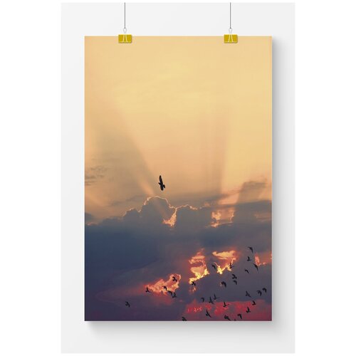Постер на стену для интерьера Postermarkt Птица в небе, размер 60х90 см, постеры картины для интерьера в тубусе