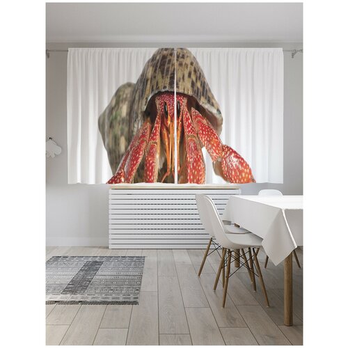 Фотошторы для кухни и спальни JoyArty "Рак-отшельник", 2 полотна со шторной лентой шириной по 145 см, высота 180 см