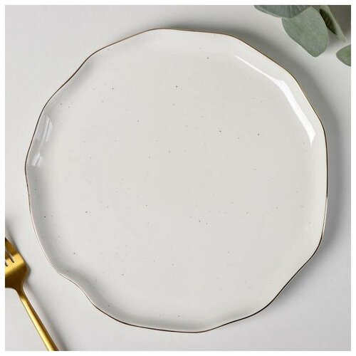 Тарелка обеденная Доляна «Млечный путь», d=25 см, цвет белый в крапинку